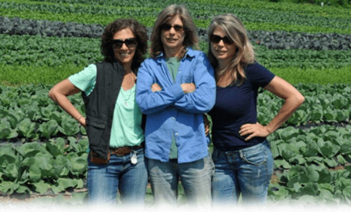 Hepworth Farms - Ace Natural